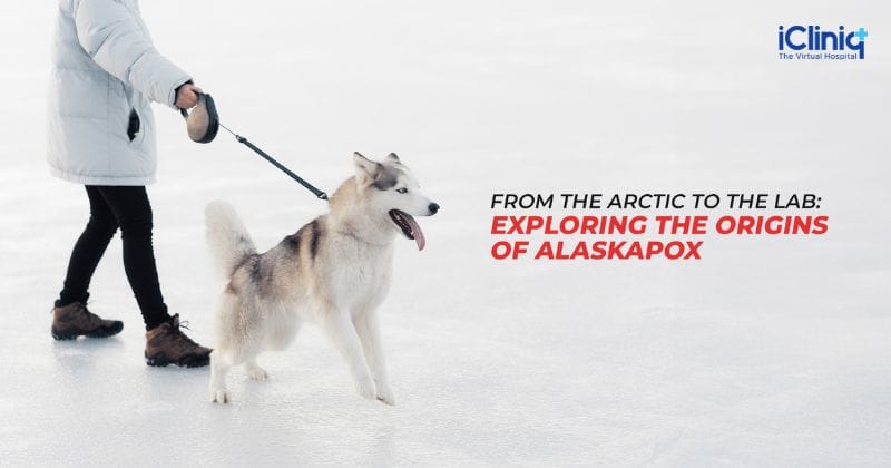 What do you need to know about Alaskapox?